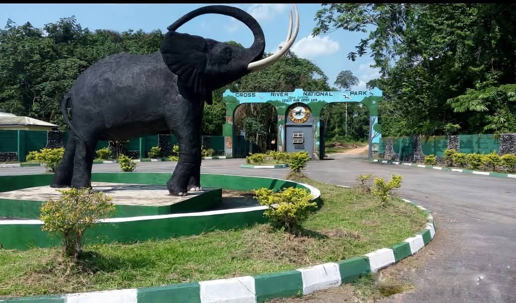Cross River National Park: 5 Unforgettable Reasons to Visit